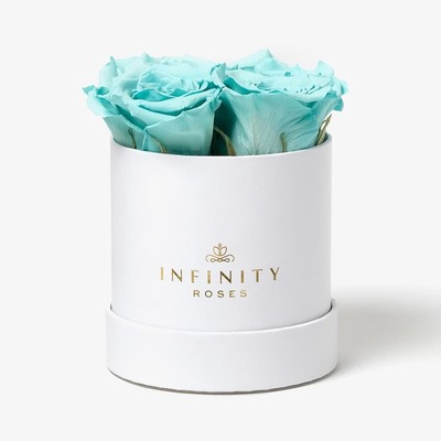 Infinity Roses | Shop Roses That Last A Year
