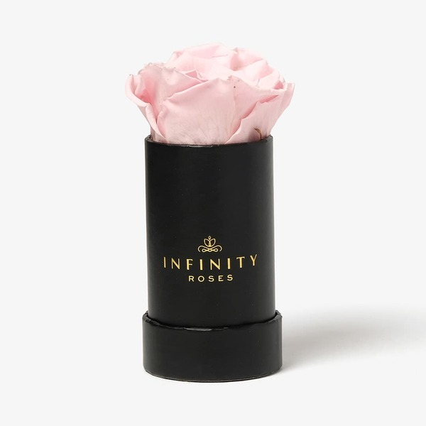 Preserved Pink Rose in Black Box | Infinity Roses