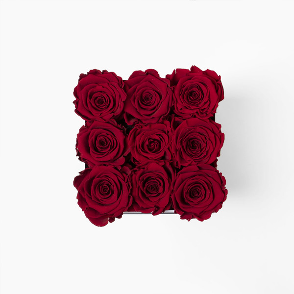 9 Preserved Red Roses in White Box | Infinity Roses
