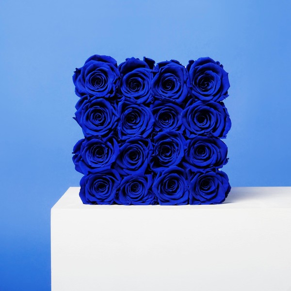 Infinity Roses | Large Square box