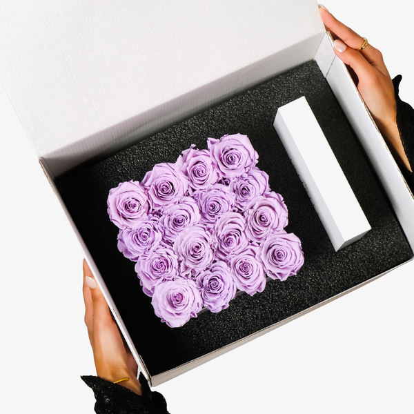 Baby Blue Rose Box at Noah Anivitti blog
