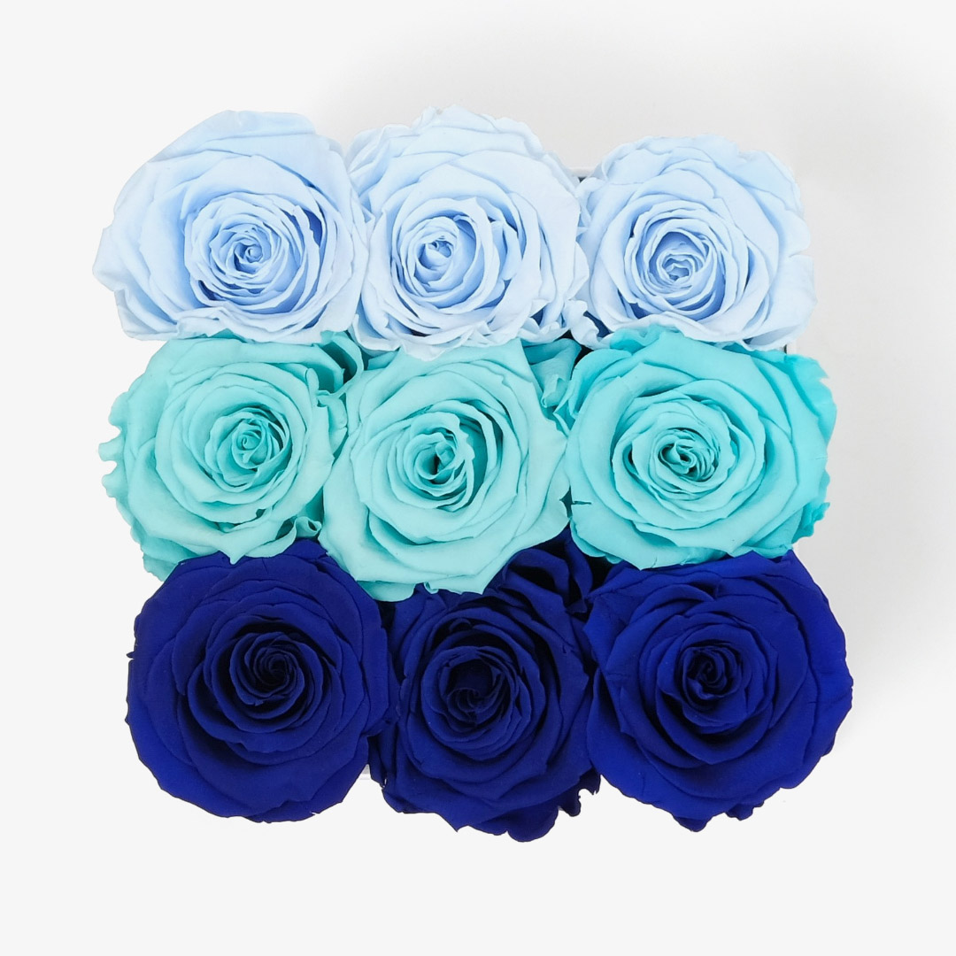 Infinity Roses | Medium Bloom Rose Box
