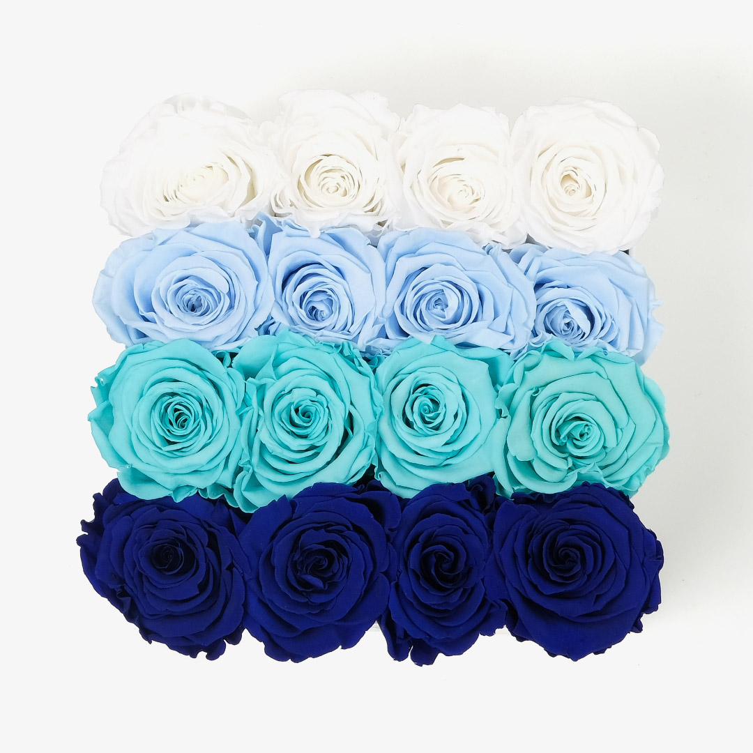Infinity Roses | Large Square Ombre