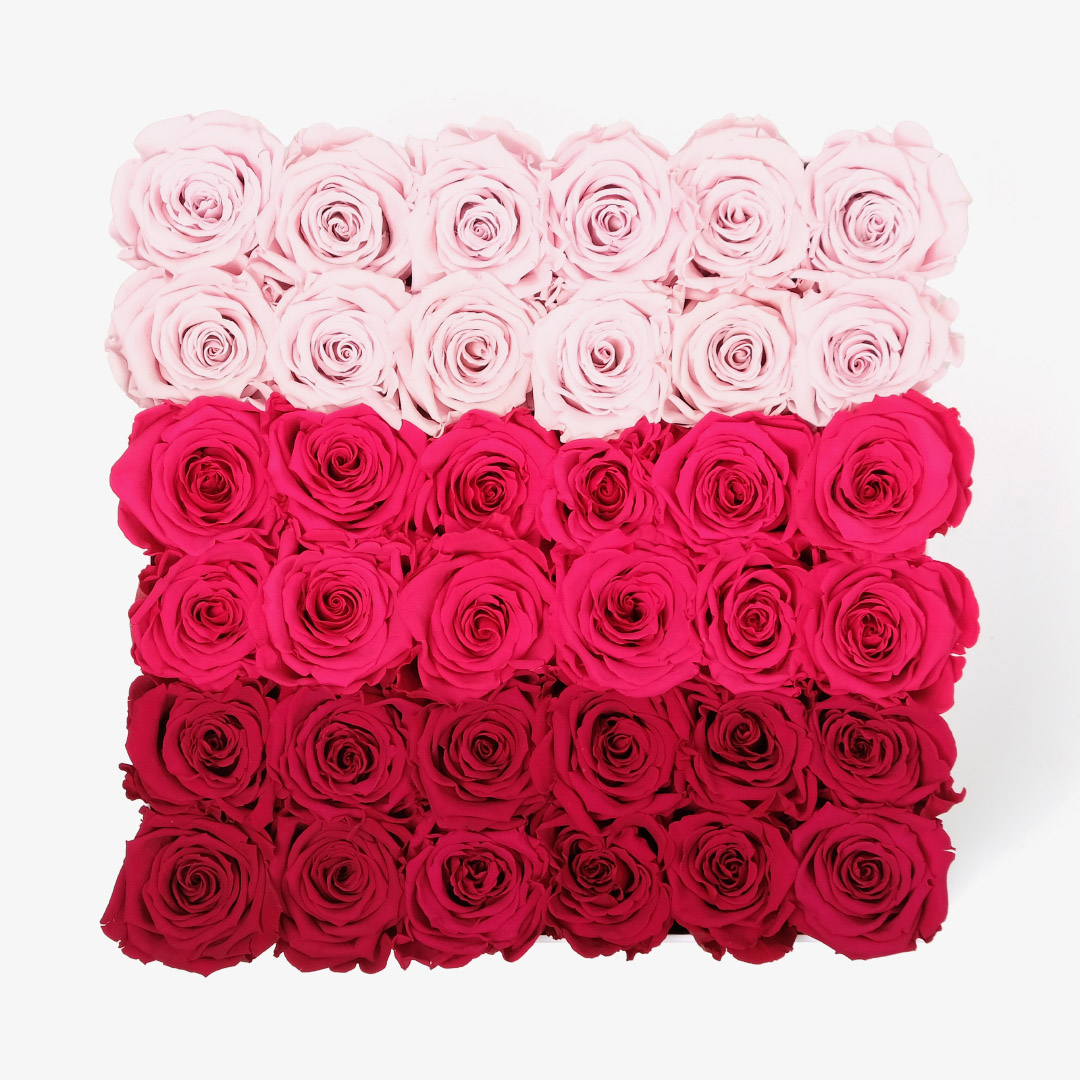 Infinity Roses | Wine Bundle (Medium Square Box)