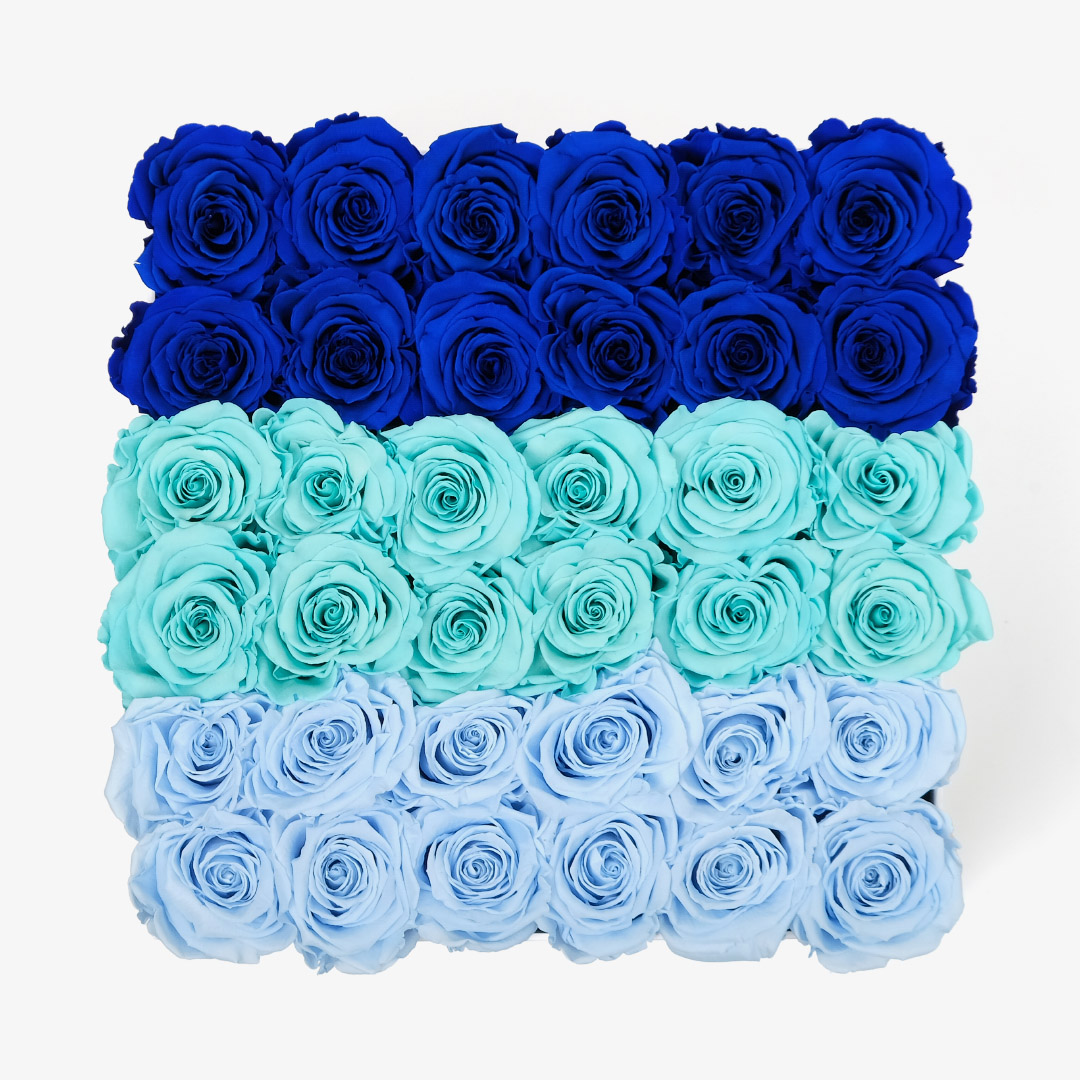 Infinity Roses | Small Heart Box