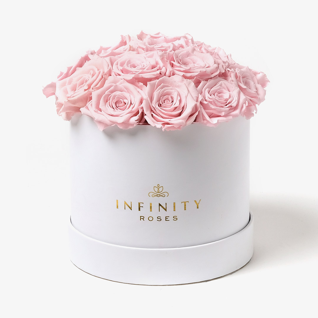 Infinity Roses | Medium Square Box