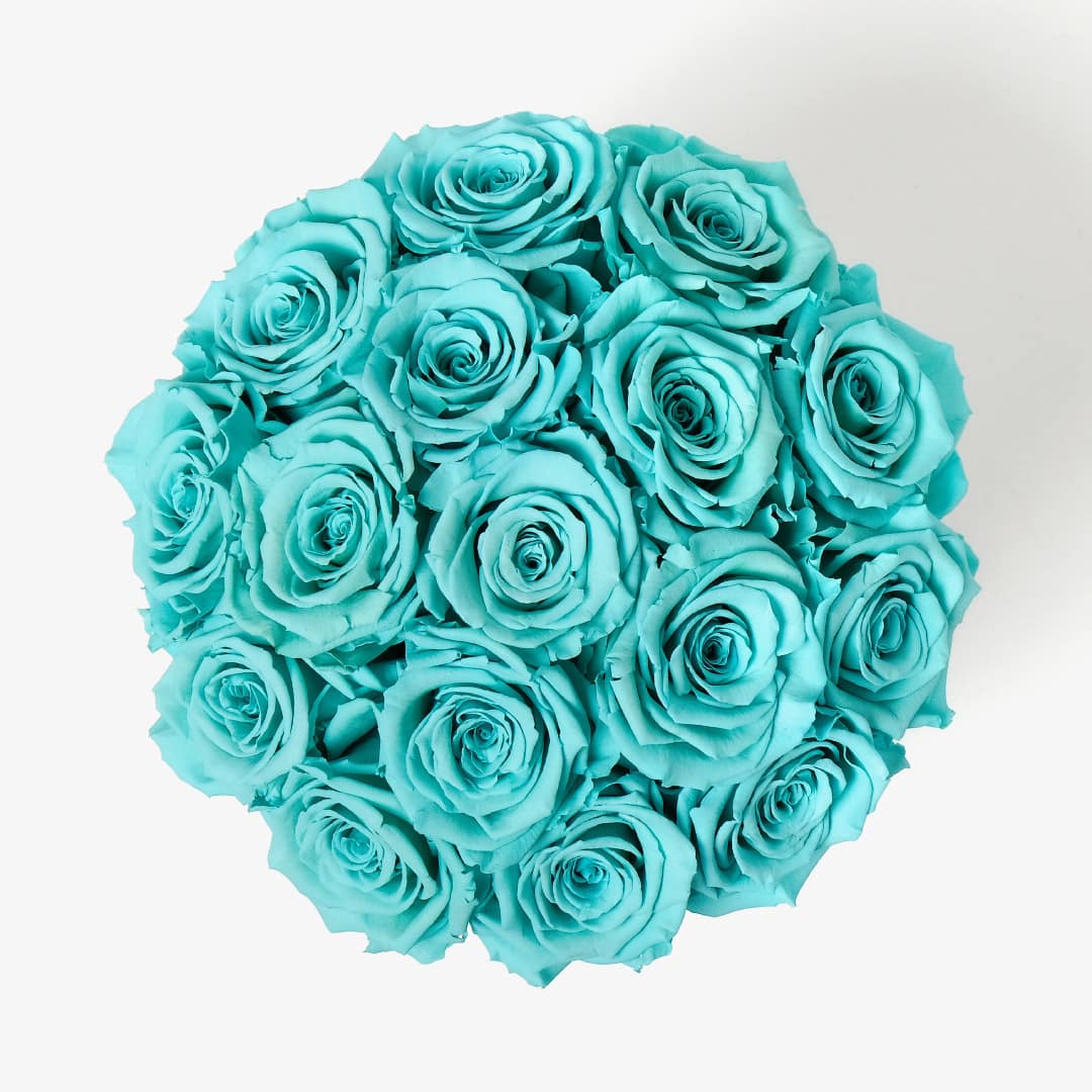 Infinity Roses | Medium Square Box