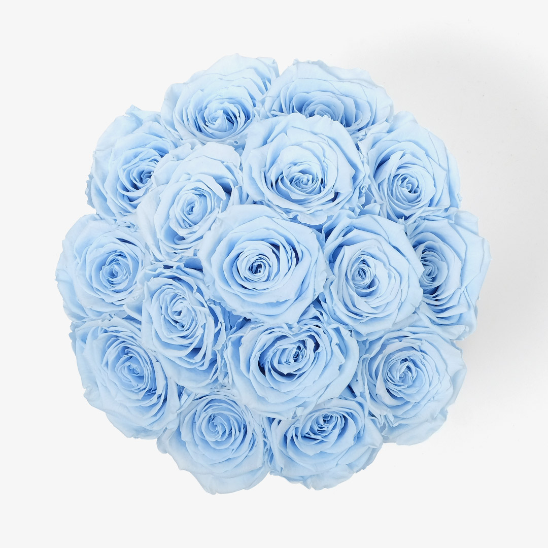 Infinity Roses | Medium Square Box