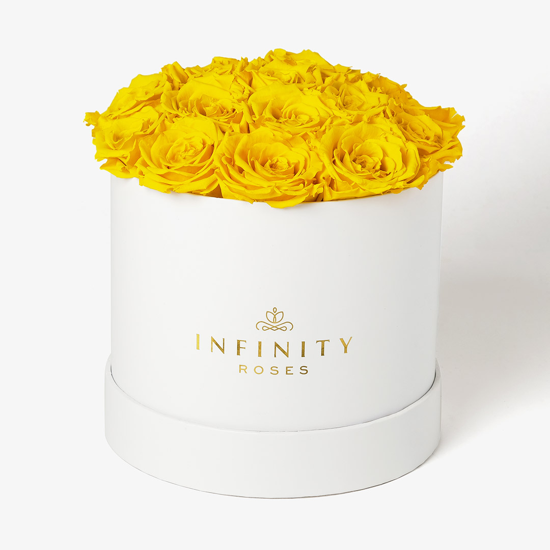 Infinity Roses | Medium Bloom Rose Box