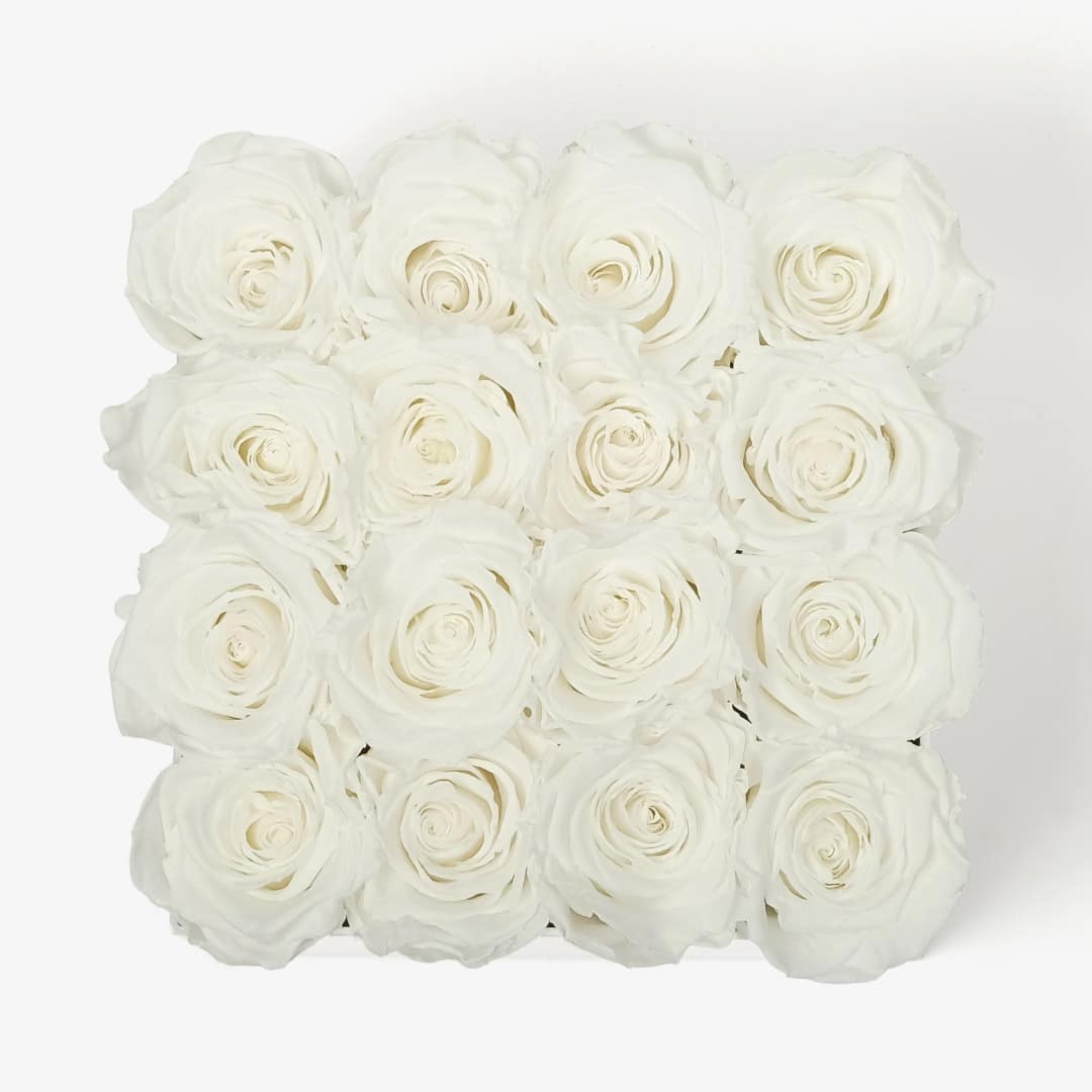 Infinity Roses | Large Square box