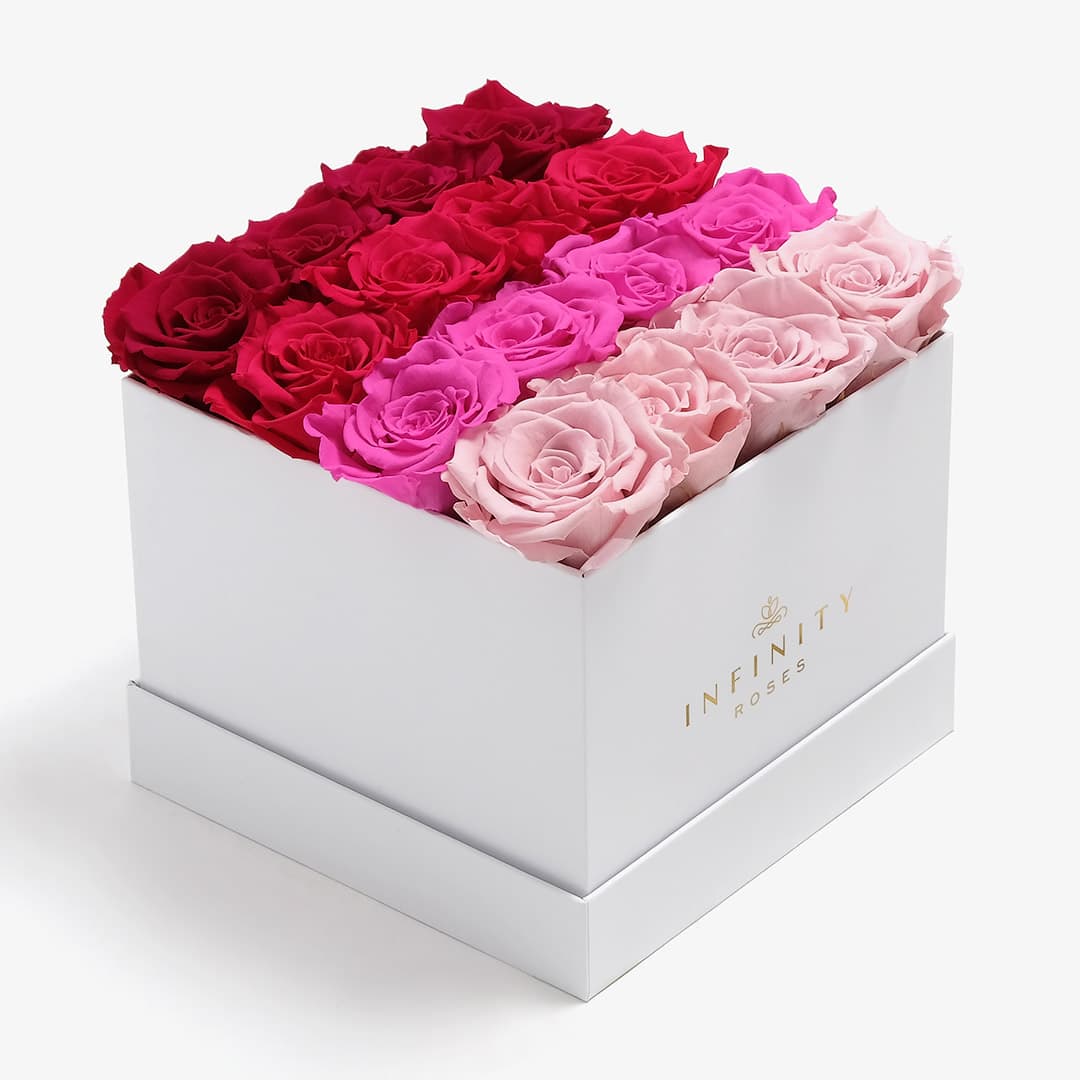 Infinity Roses | Single Rose Box