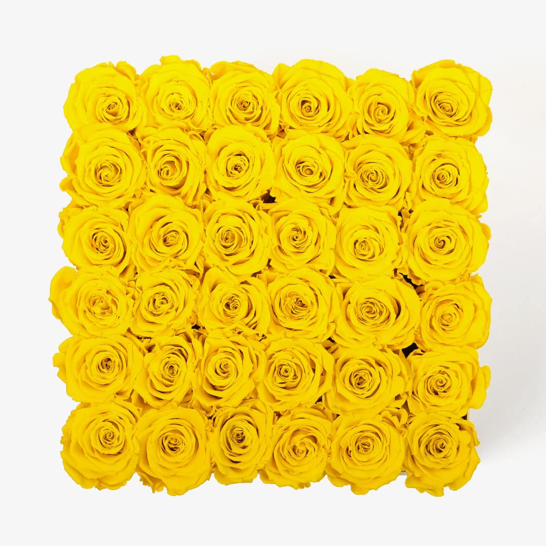 Infinity Roses | Large Square box