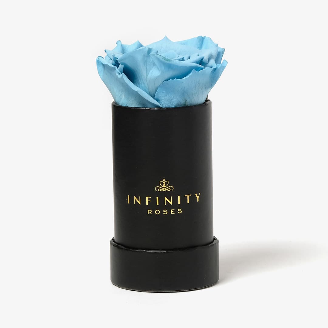 Shop Our Forever Roses In A Box | Next Day Delivery Available ...