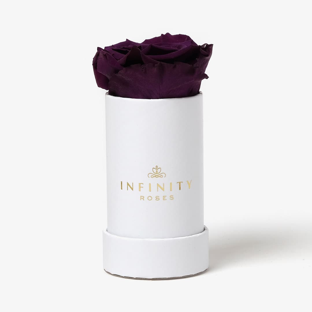 Shop Our Forever Roses In A Box | Next Day Delivery Available ...