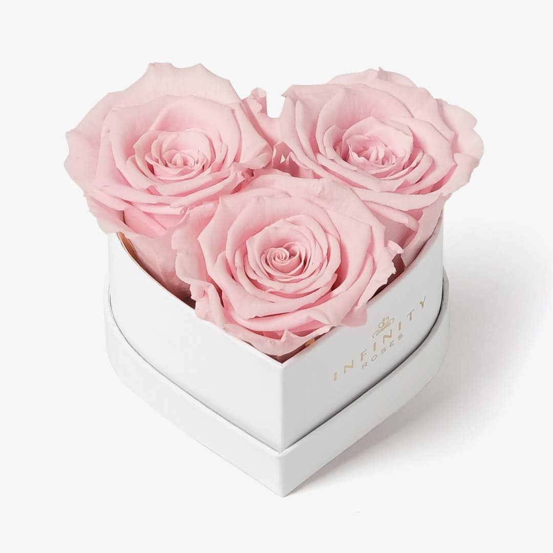 Infinity Roses | Medium Bloom Rose Box