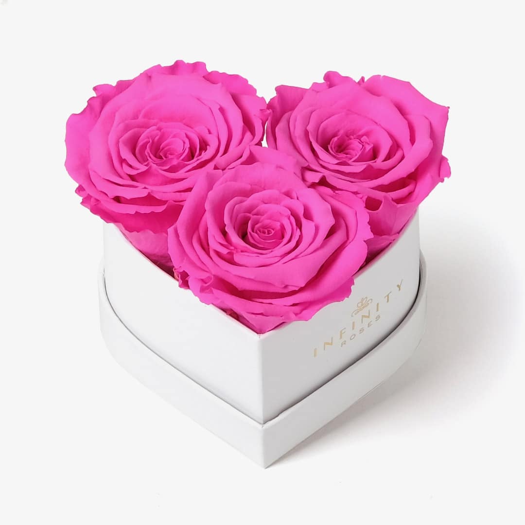 Infinity Roses | Large Bloom Ombre