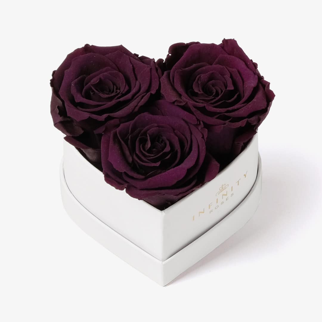 Infinity Roses | Large Bloom Ombre