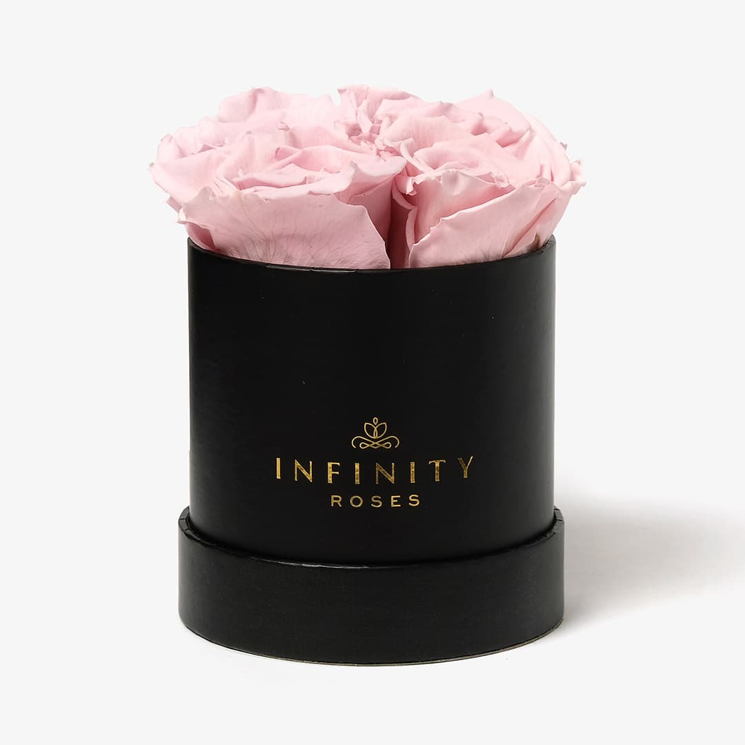 Shop Our Forever Roses In A Box | Next Day Delivery Available ...