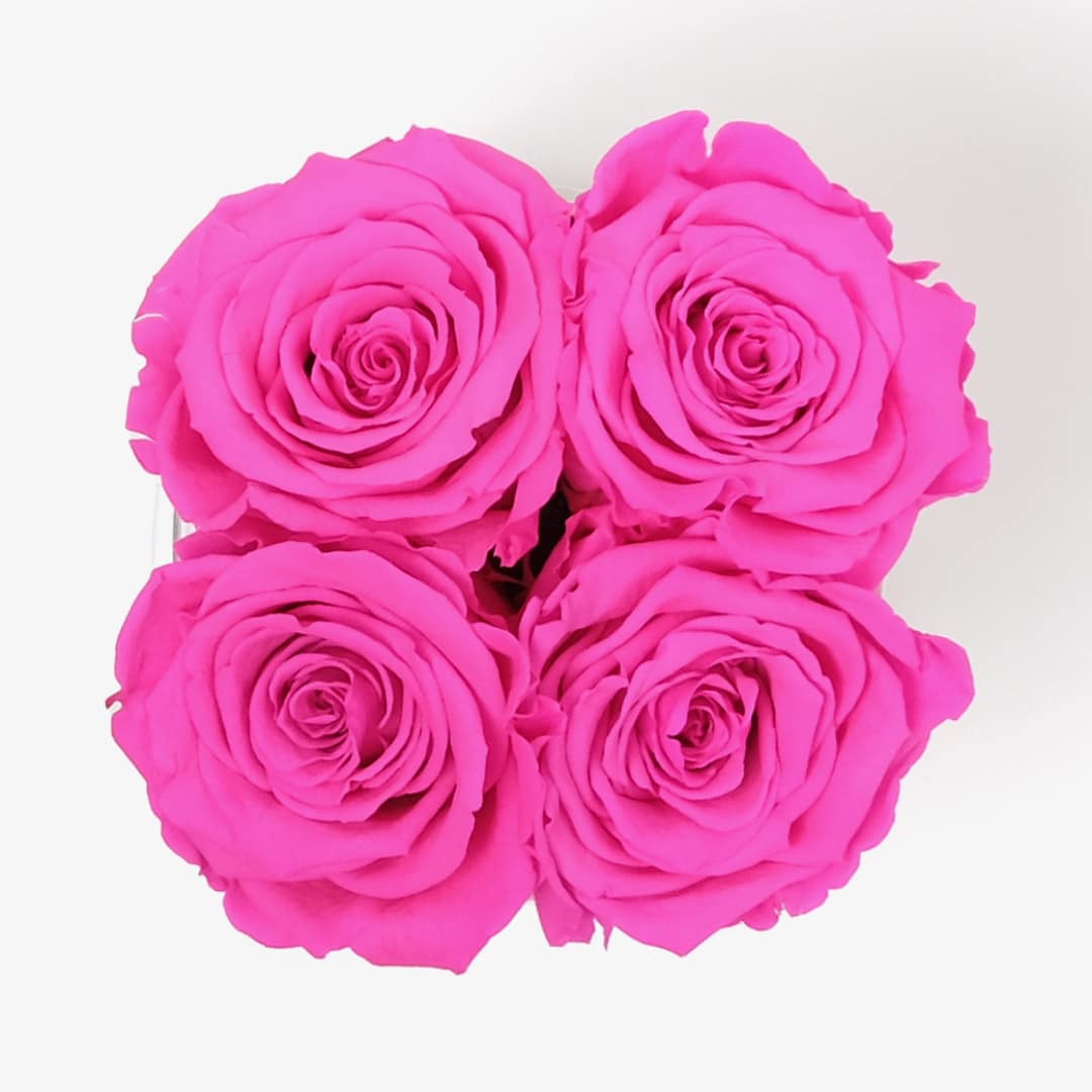 Infinity Roses | Single Rose Box
