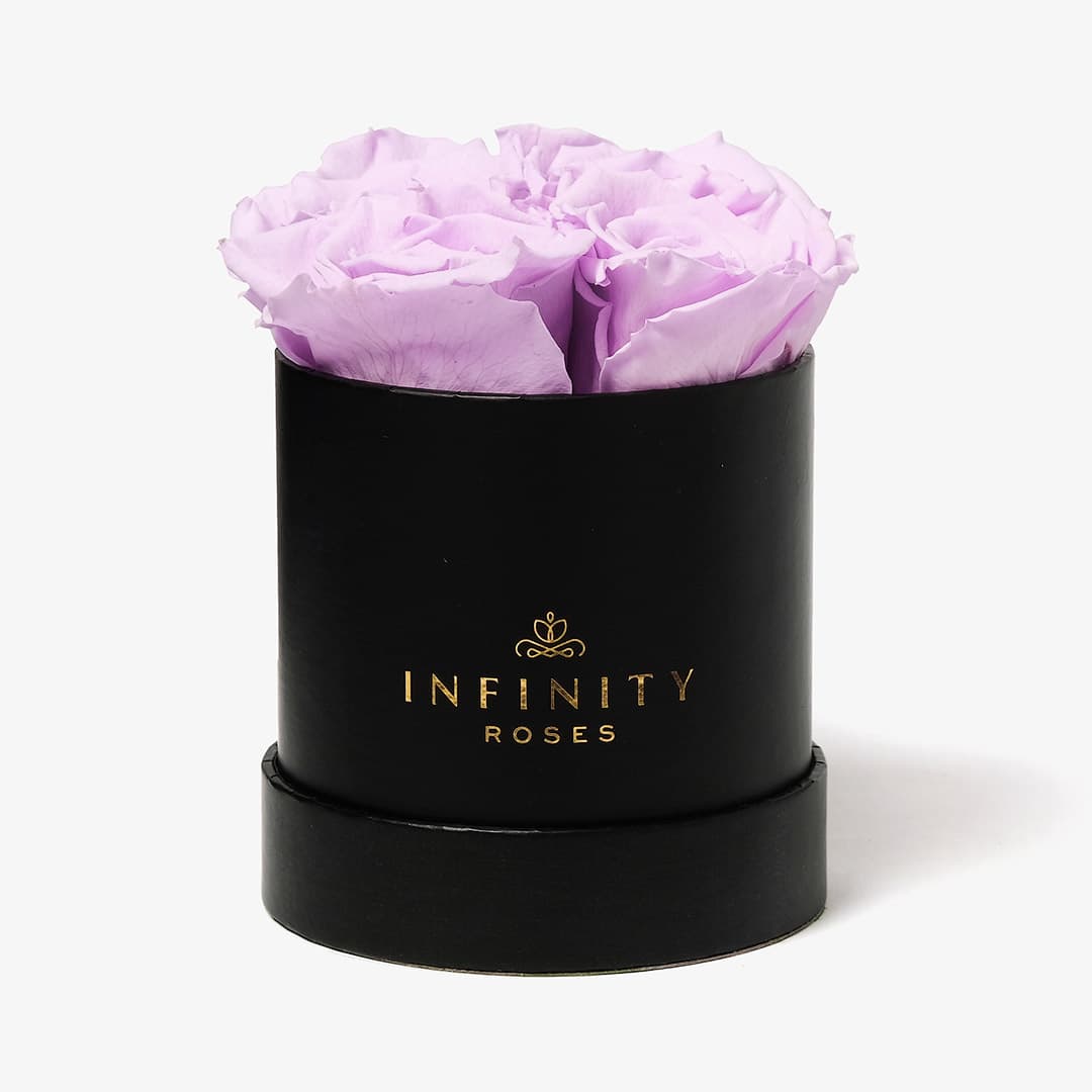 Shop Our Forever Roses In A Box | Next Day Delivery Available ...