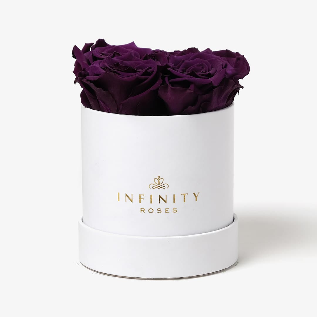 Shop Our Forever Roses In A Box | Next Day Delivery Available ...