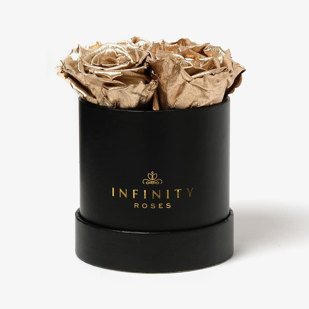 Shop Our Forever Roses In A Box | Next Day Delivery Available ...